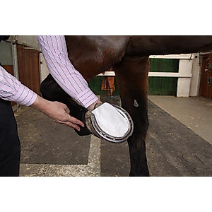 Tack Shack of Ocala- Animalintex Hoof Poultice Pad and Poultice Pad, Poultice Pad, Poultice Pad for Horses, Poultice for Horses, Poultice Wrap- Leg Care for Horses (3-Pack Hoof Poultice)