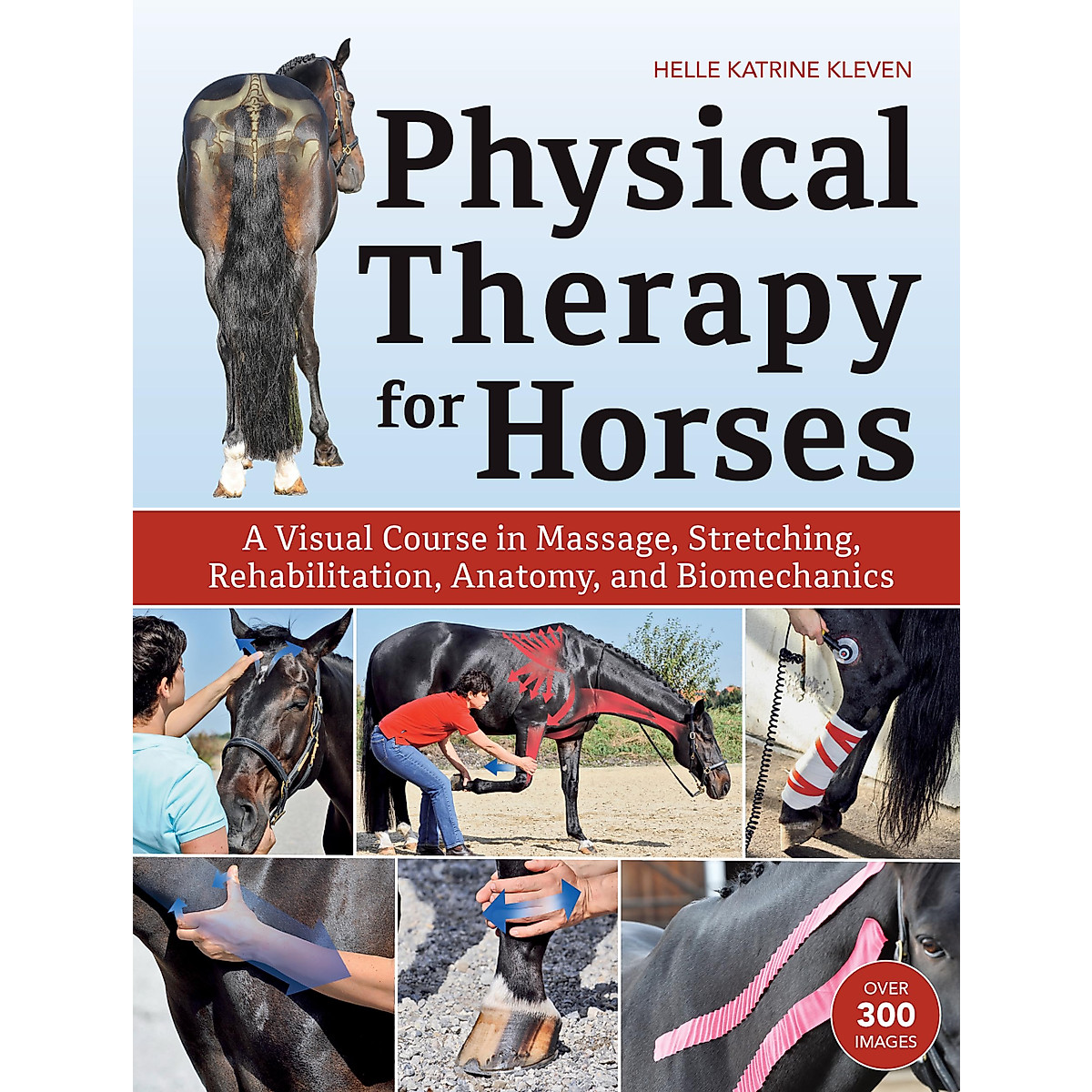 Physical Therapy for Horses: A Visual Course in Massage, Stretching, Rehabilitation, Anatomy, and Biomechanics