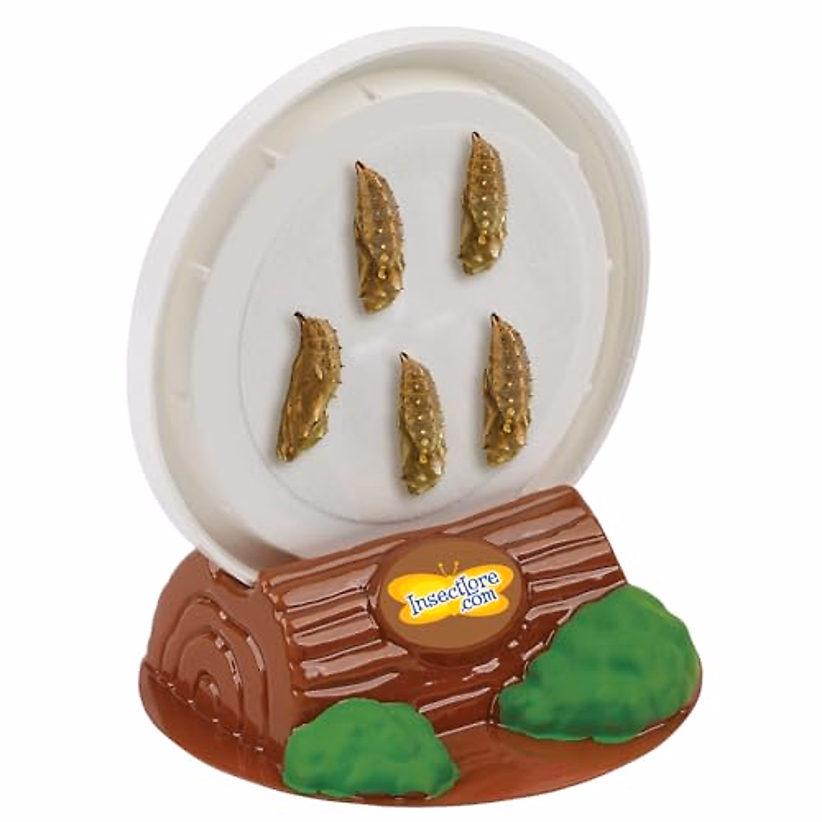 Insect Lore Butterfly Garden Gift Set | 8" Habitat with Live Cup of Caterpillars | Stickers and Extras Included | Life Science & STEM Education Kit | Grow Painted Lady Butterflies