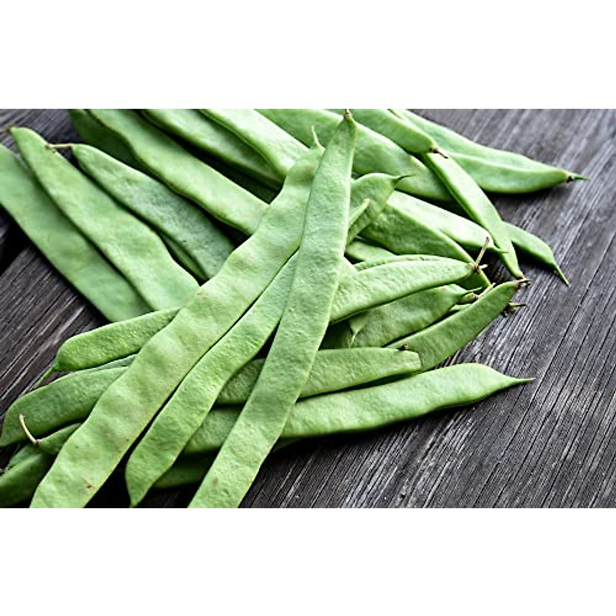 Roma II Italian Bush Bean Seeds for Planting, 30+ Heirloom Seeds Per Packet, (Isla's Garden Seeds), Non GMO Seeds, Botanical Name: Phaseolus vulgaris, Great Home Garden Gift