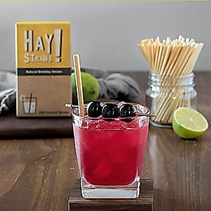 HAY! Straws | 3000ct. Bulk Straws | 5" | 100% Compostable, 100% Plant-Based, Never Soggy, Gluten-Free | Sustainable Alternative to Plastic & Bioplastic Straws