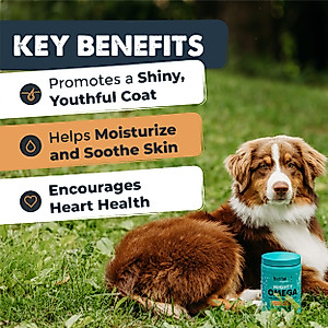 Mighty Paw Waggables Mighty Omega (Made in The USA, 120 Count) | Omega 3 Fish Oil Chew for Dogs. Salmon Oil for Dogs Skin and Coat Supplement. Soft Chew Fish Oil for Dogs - DHA & EPA, Bacon Flavor