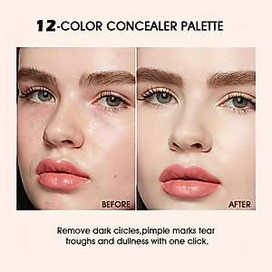 Carla Secret Makeup, Carla Secret Concealer Palette, Carla Secret Makeup Pallet, 12 Color Concealer Foundation Palette with Concealer Brush, Long-Wearing Coverage Makeup Palette (#01)