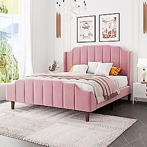 HOOMIC Queen Size Upholstered Platform Bed with Curved Velvet Wingback Headboard and Footboard,Solid Wood, No Box Spring Needed, Easy Assembly, Pink