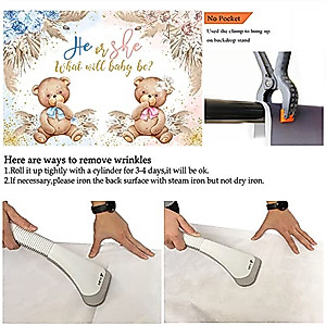 Avezano Boho Bear Gender Reveal Backdrop He or She Party Decorations Pink or Blue Pampas Grass Gender Reveal Party Photography Background Bohemian Bear Gender Reveal Decorations Photoshoot (7x5ft)