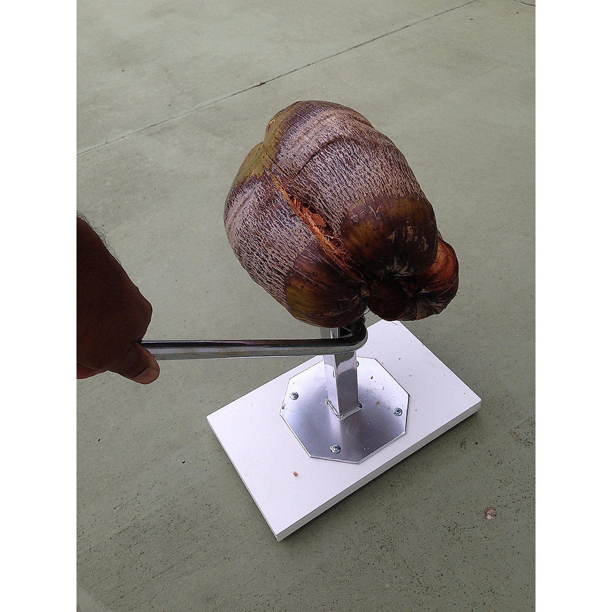 Gitachi EASY Coconut Husk opener 17 inch Tall- Stainless