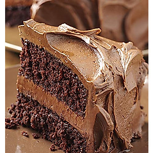 XO Baking Co. Chocolate Cake Mix - Flavorful Non-GMO Certified Chocolate Cake Baking Mix - No Preservatives or Artificial Flavors (1 Pack)