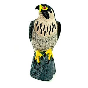 Bird-X Falcon Predator Decoy Bird Scare