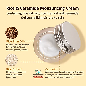 The Face Shop Rice Ceramide Moisturizing Cream | Rich Moisturizer for Long-lasting Smooth Absorbtion without Stickiness | Natural Moisturizer For Whitening & Skin Glowing, 1.69 fl oz, K-Beauty