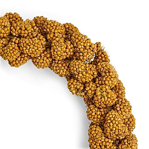 Healthy Select Spray Millet 16 oz., Pack of 24