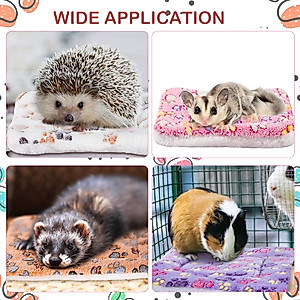 4 Pack Ultra Soft Dog Cat Bed Mat with Cute Prints Reversible Fleece Dog Crate Kennel Pad Cozy Washable Thickened Hamster Guinea Pig Bed Pet Bed Mat for Small Animals (Vivid Color,13 x 10 Inches)