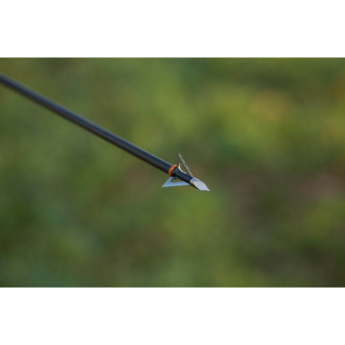 Drone 125gr. by Wasp Archery