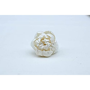 50 Pieces Peony 2 inches diameter Sola Wood Flowers Artificial Flower for decoration wholesale Shop Diffuser Handmade Spa Wedding Craft