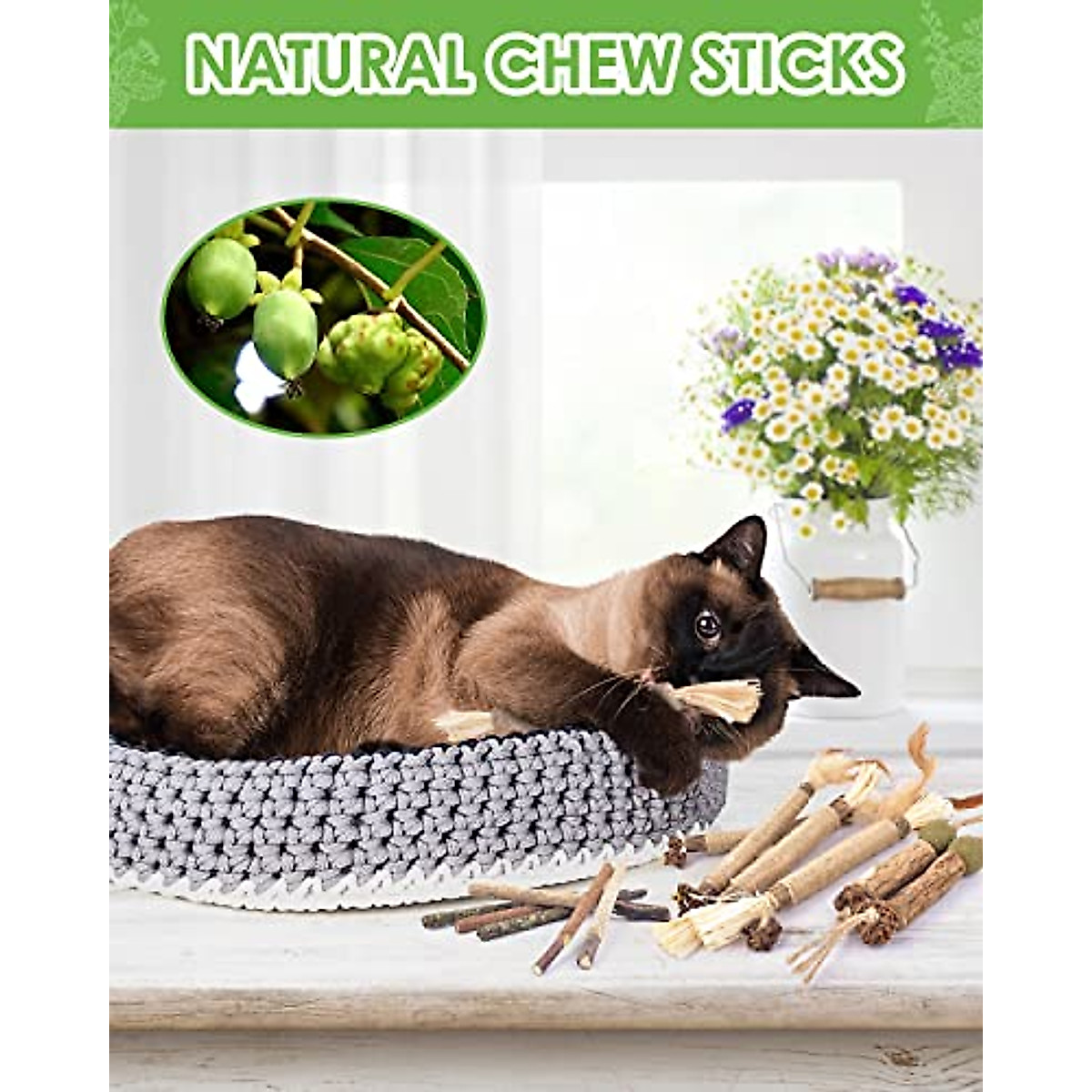 Catnip Chew Toys for Cats, 12 Pack Natural Silvervine Sticks for Kittens Teeth Cleaning, Matatabi Dental Care, Increase Appetite, Calm Cat Anxiety and Stress, Aggressive Chewers Cat Dental Toy