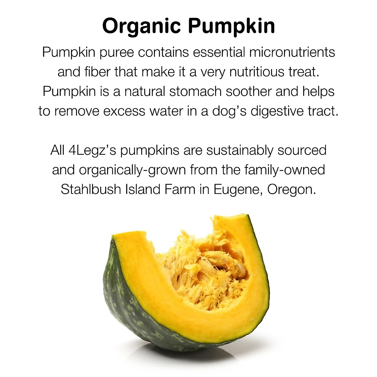 4Legz Organic Pumpkin Vegan Dog Treats from Low Fat & Crunchy Natural Snack Biscuits for Dogs Small, Medium & Large - Made in USA Products Only (7 Ounce, Pack of 1)