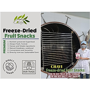 CHAVI Freeze-Dried Diced Dragon Fruit Snack - 2 Oz - Healthy 1 Ingredient Superfood - No Added Sugars or Preservatives - Non-GMO, Vegan, Gluten-Free…