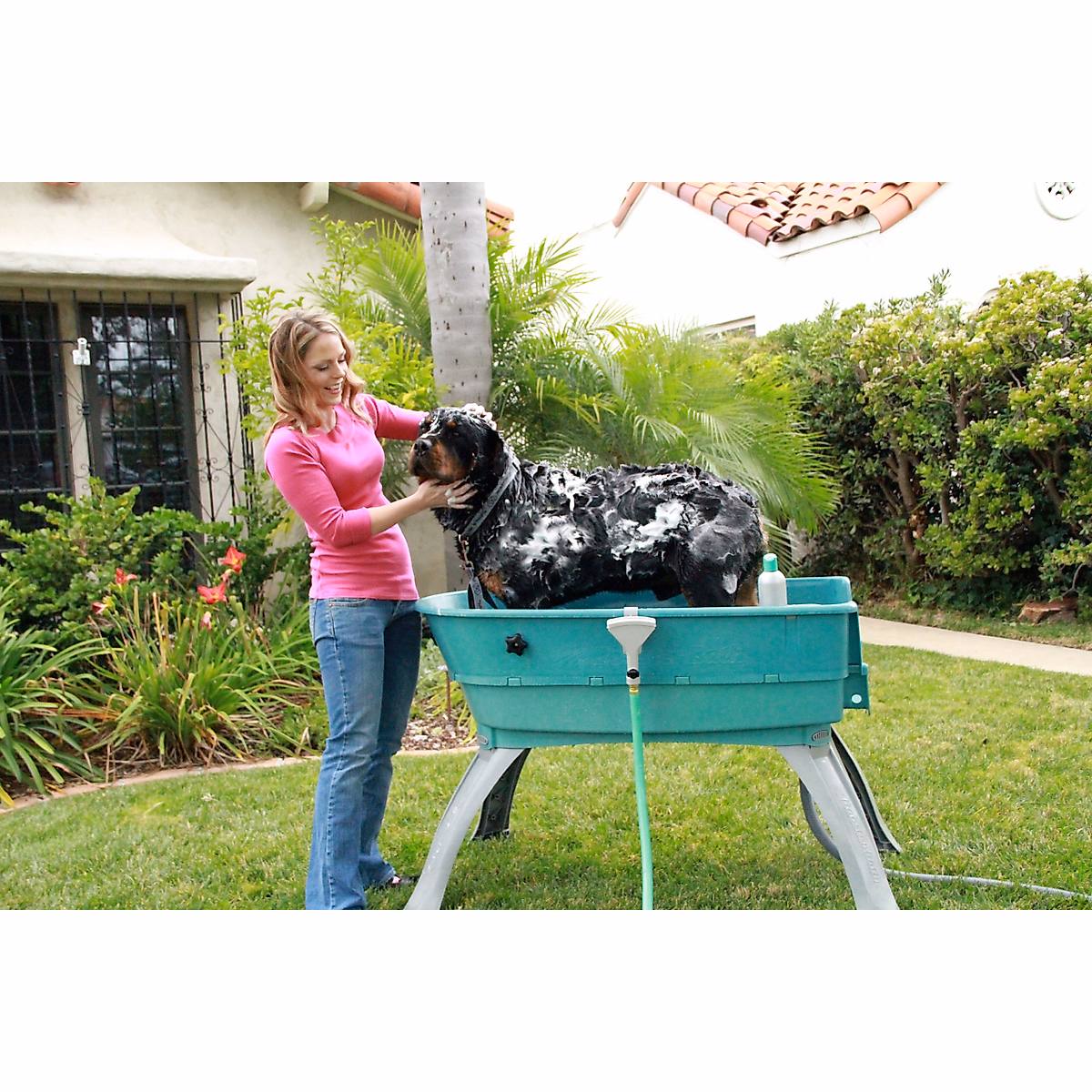 Booster Bath Elevated Pet Bathing, Teal, Large (Pack of 1)