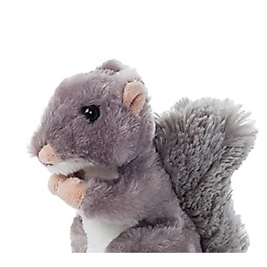 The Petting Zoo Squirrel Stuffed Animal Plushie, Gifts for Kids, Wild Onez Babiez Wildlife Animals, Squirrel Plush Toy 6 inches