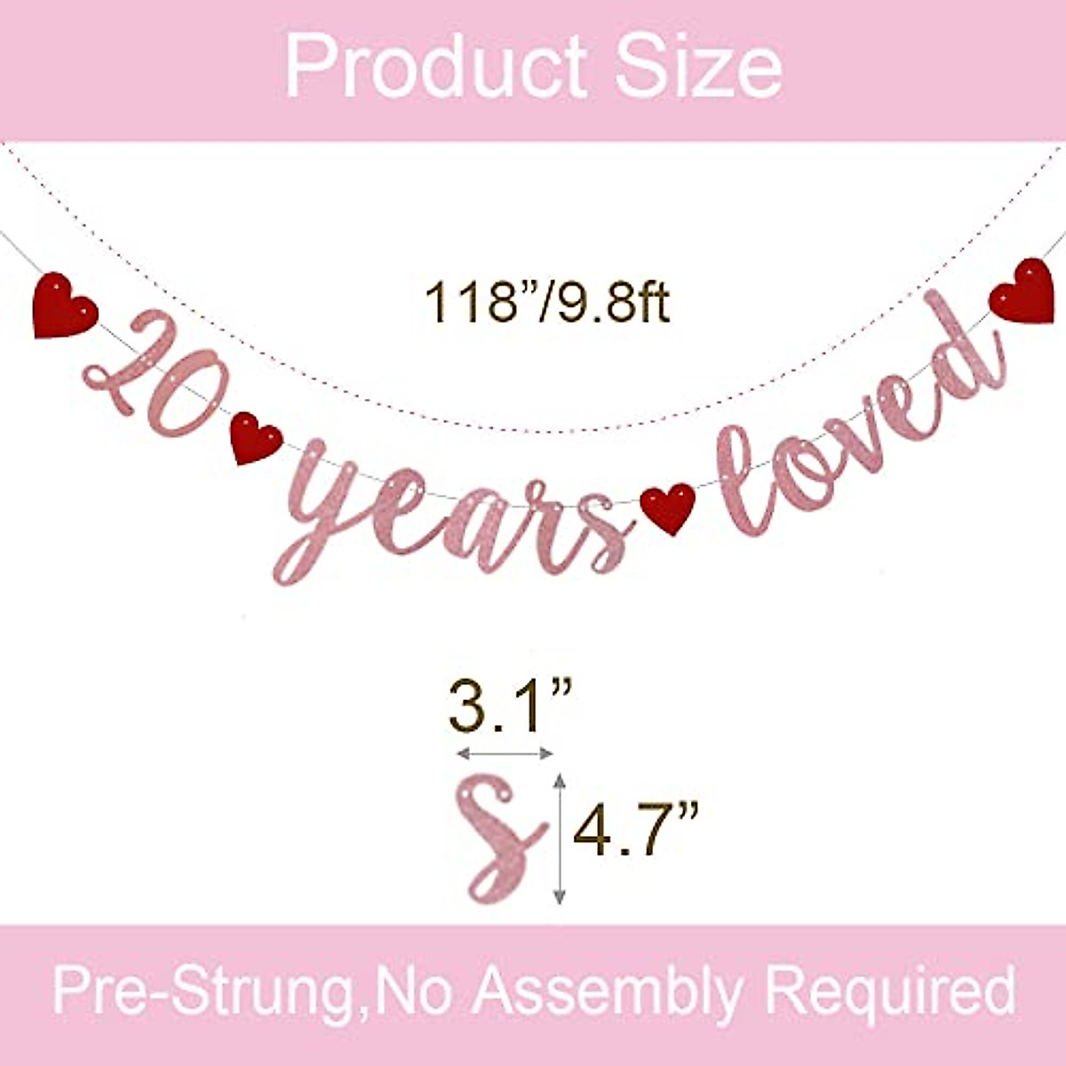 20 Years Loved Banner, Pre-Strung,Rose Gold Glitter Paper Garlands for 20th Birthday/Wedding Anniversary Party Decorations Supplies, No Assembly Required,Rose Gold,SUNbetterland