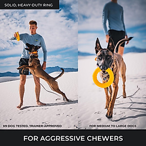 BULLTUG - Chew Ring & Fetch Ball Combo for Aggressive Chewers | Heavy-Duty, Ultra-Durable Natural Rubber, Tough Dog Toys for Medium to Large Breeds