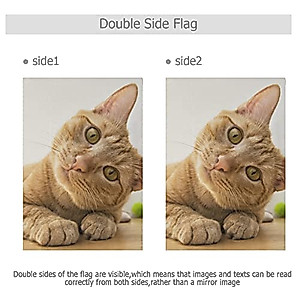 Hokkien Orange Cat Tilts His Head Garden Flag Banner 12 x 18 Inch Decorative Garden Flag for Outdoor Lawn and Garden Home Décor Double-Sided