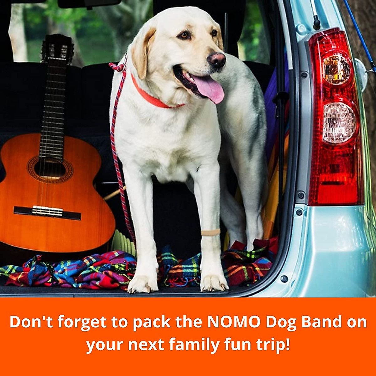 NOMO Peppermint Aromatherapy Motion Sickness Relief Bands for Dogs | Anti-Nausea Wristbands with Gentle Acupressure | 30-Second Nausea Relief Band | Medium to Large | Nude | Single Pack