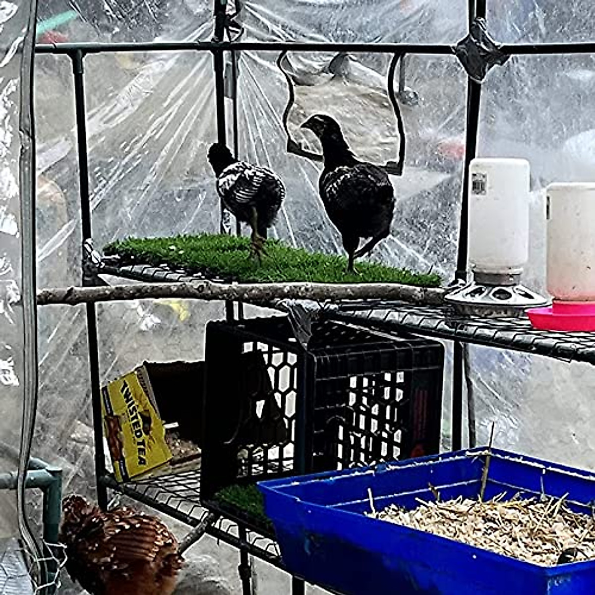 MUYG Washable Chicken Nesting Pads Artificial Grass Rug Carpet Cuttable Chickens Nest Box Bedding Liners for Hen Coop Egg Duck Reed Chicken Goose(4 PCS)