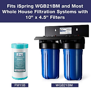 iSpring FM15B Iron and Manganese Reducing Replacement Filter Cartridge for Whole House Water Filtration System WGB21BM, 1 Count (Pack of 1), 10"x4.5" High Capacity