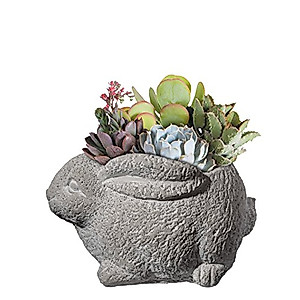 Classic Home and Garden 9/3442/1 Rabbit Planter, Large, Natural