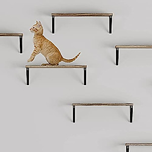 brightmaison BGT Mino Floating Shelves, 17" Book Shelves for Living Room Decor, Bathroom Organizer, Kitchen, Bedroom, Burnt Finish Set of 8