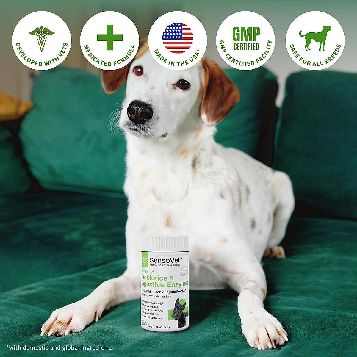 Probiotics for Dogs with Prebiotics and Digestive Enzymes - Allergy Relief