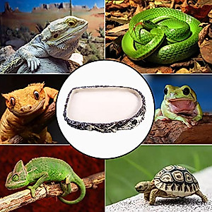 Tfwadmx Reptile Water Bowl Reptile Rock Food Dish Reptile Feeder Food and Water Feeding Bowl for Lizard Bearded Dragon Turtle Frog Leopard Gecko Snake Chameleon