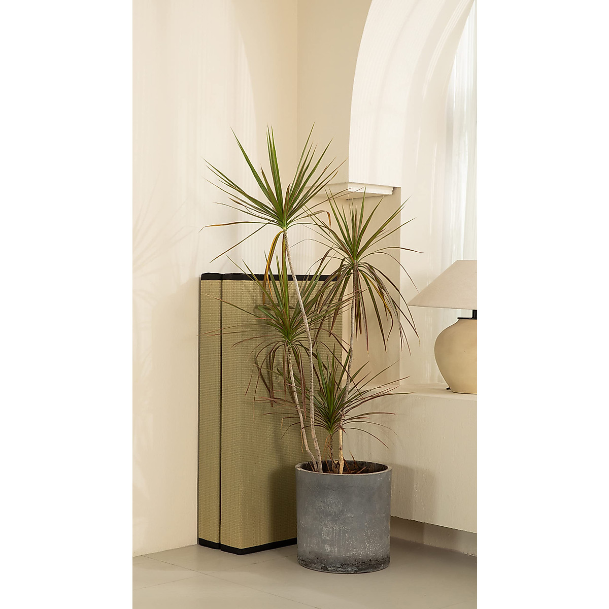 MustMat Thick Tatami Mat Twin XL Floor Mattress Japanese Tatami Bed with Storage Bag 39 x 80 x 2 in (Black)