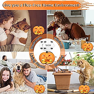 Flea Trap Refills,Discs Replacement Sticky Glue Pads Fits Most Models Flea Bed Bug Traps for Inside Your Home,Non-Toxic Odorless Eco-Friendly Family and Pet Safe(10 Pack)