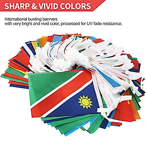 Anley 184Ft 200 Countries String Flag - International Bunting Banners for Party Decorations, Bars, Sports Clubs, School Festivals, Celebrations - 8" x 5", 200 Flags, 184 Feet