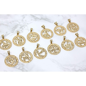 CaliRoseJewelry 14k Yellow Gold Pisces Zodiac Pendant Necklace, 22"