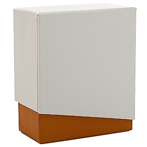 Polaroid Now+ Instant Film Camera Bundle with Color Instant Film and Film Kit (3 Items)