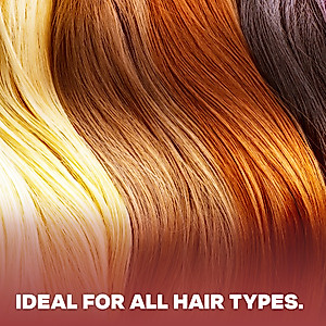 Ion Infused Ceramic Round Brush | Salon Quality Brush for Blow Drying | Fixes Damaged Hair | 2 Roller Brush for Wet & Dry Hair by TheSalonGuy