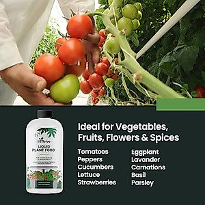 32oz Aeroponics & Hydroponics Liquid Plant Food - Up to 96 Feedings for AeroGarden, IDOO & Hydroponic Growing Systems, Ideal Liquid Fertilizer & Hydroponic Plant Food - Rich in Hydroponic Nutrients