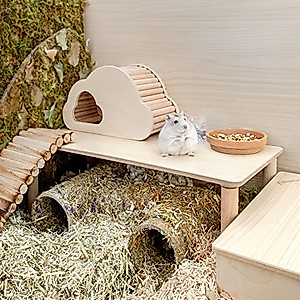 Niteangel Hamster Play Wooden Platform for Dwarf Syrian Hamsters Gerbils Mice Degus or Other Small Pets (Rectange - 7'' Height, Burlywood)