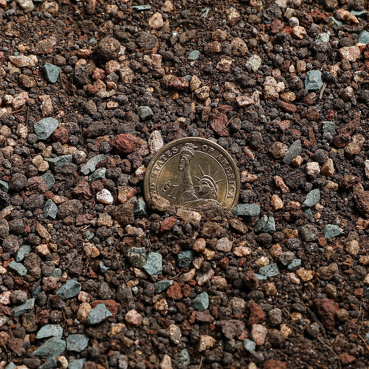 Doter Succulent and Cactus Soil Potting Mix 1.1 LBS, Bonsai Soil Mix Ready to Use, Fast Draining with Added Nutrients