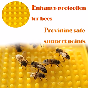 2 Pack Bee Watering Station Beekeeping Water Dispenser Perfect Beekeeping Drinking Beekeeper Tools (Yellow White)