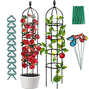 WellSign Garden Obelisk Trellis for Climbing Plants Outdoor, 6ft Tall Rustproof Coated Metal Plant Support with Garden Twist Tie (1 PK)