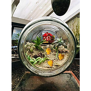 SPWOLFRT 26 Pcs Cute Mini Animal Figurines Miniature, Family Chicken Cock Ornament Micro Fairy Garden Décor for Moss Landscape DIY Terrarium Crafts Accessories Home Outdoor Indoor (Chicken Family)