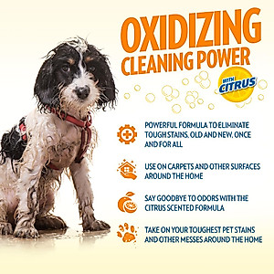 OUT! PetCare Orange Oxy Stain & Odor Remover | Oxy Clean Pet Stain and Odor Eliminator | 32 oz