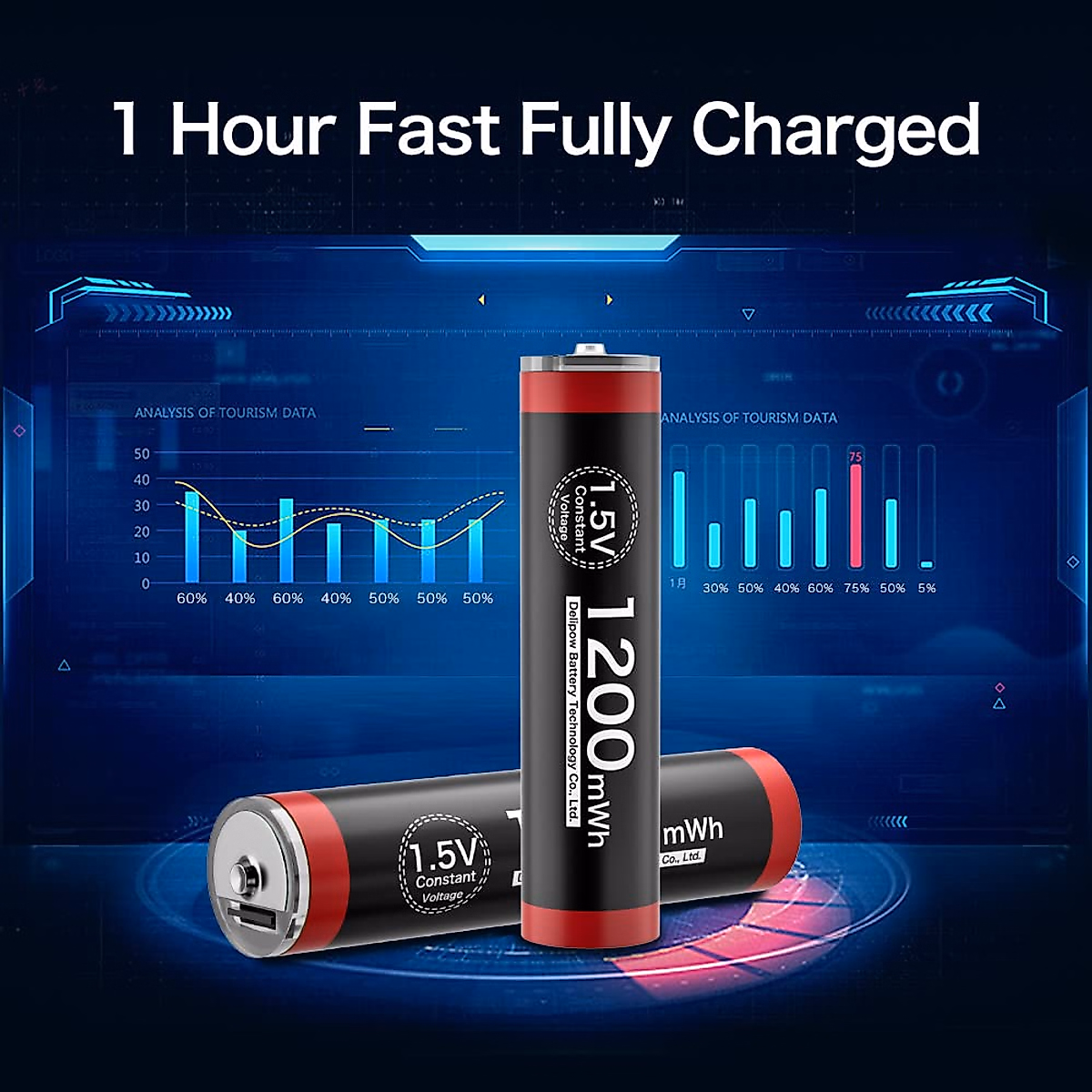 Deleepow USB Rechargeable AAA Batteries 4 Pack, USB C Rechargeable Triple A Lithium Batteries, 1200mWh 1.5V with 2-in-1 Charging Cable, 1 Hour Fast Charging AAA Rechargeable Battery