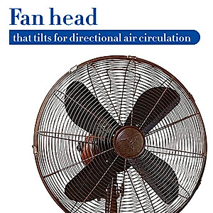 DecoBREEZE DBF0426 Pedestal Standing Floor Fan, 16-Inch, Raleigh