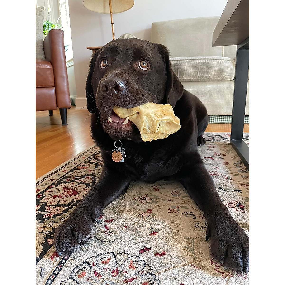 Redbarn All-Natural Cow Ears Chews for Dogs - Single Ingredient Rawhide Alternative Supports Joint and Dental Health - Grain Free Treat Made Without Chemicals - Case of 100 Ears