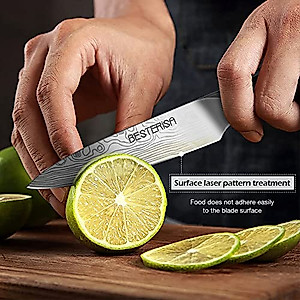 BESTERiSA Paring Knife -4 Inch Fruit Knife with Cover-High Carbon German Stainless Steel EN1.4116 Ultra Sharp Vegetable and Peeling Knif with Gift Box for Home Kitchen and Restaurant.