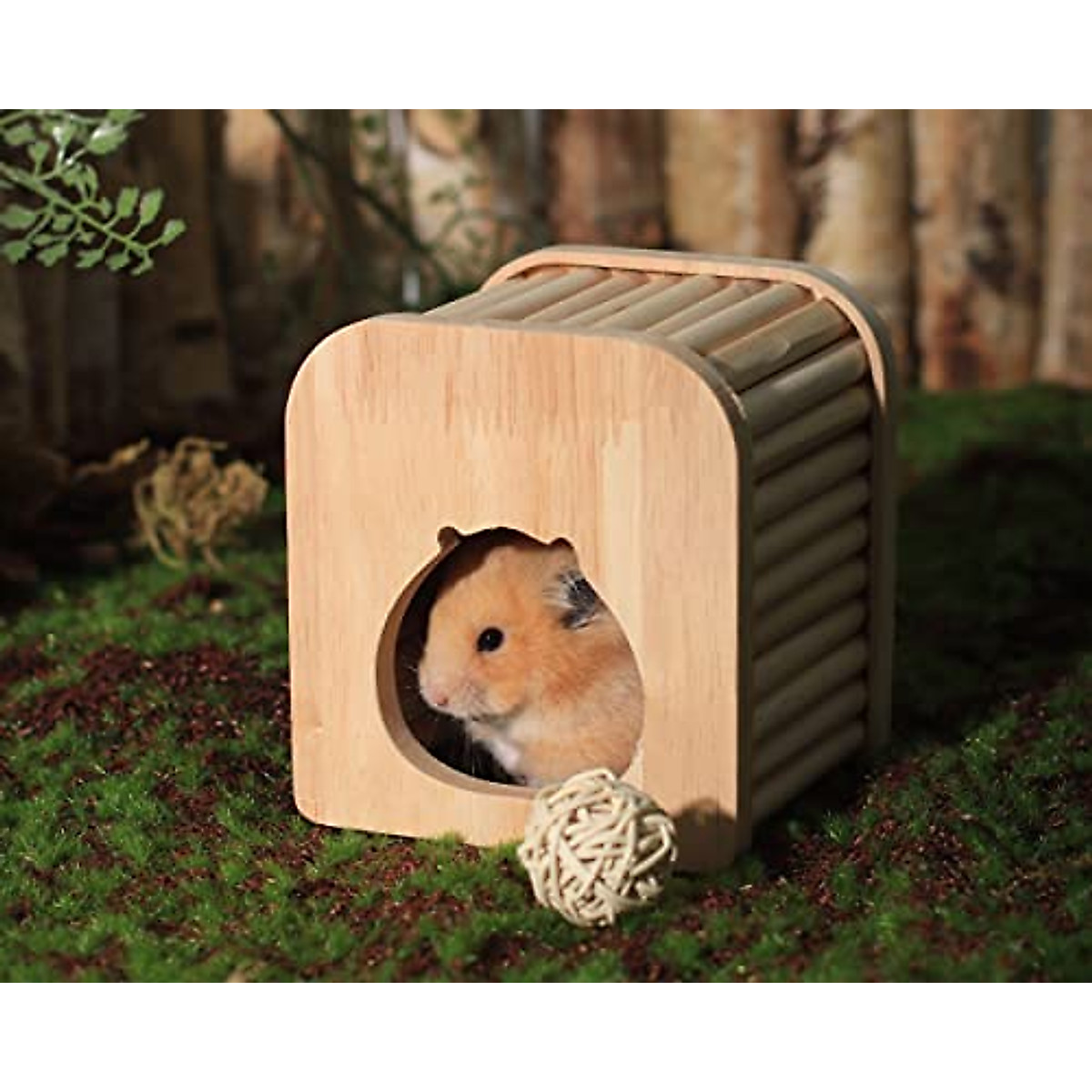 MPMLMF Hamster Sleeping House Hideout& Hamster Wood, Hamster Toys with Climbing Ladder, Hamster Accessories for Hamsters Gerbils Hedgehog or Similar-Sized Pets (Rectangle—Shaped)